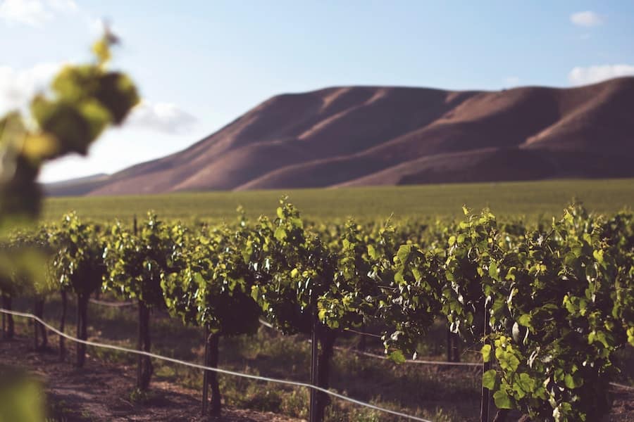Wine and Dine in Edgware: A Guide to the Perfect Night Out - Concierge ...